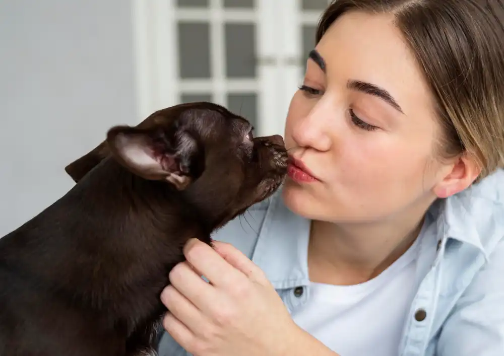 Chien et affection : comment savoir s'il vous aime vraiment