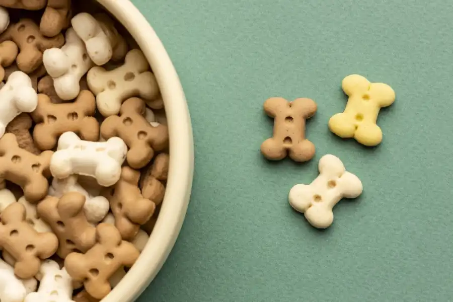 Recettes de biscuits naturels pour chien : 5 idées faciles