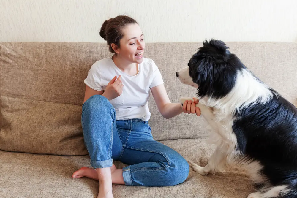 Parler à son chien : renforcer la relation au quotidien