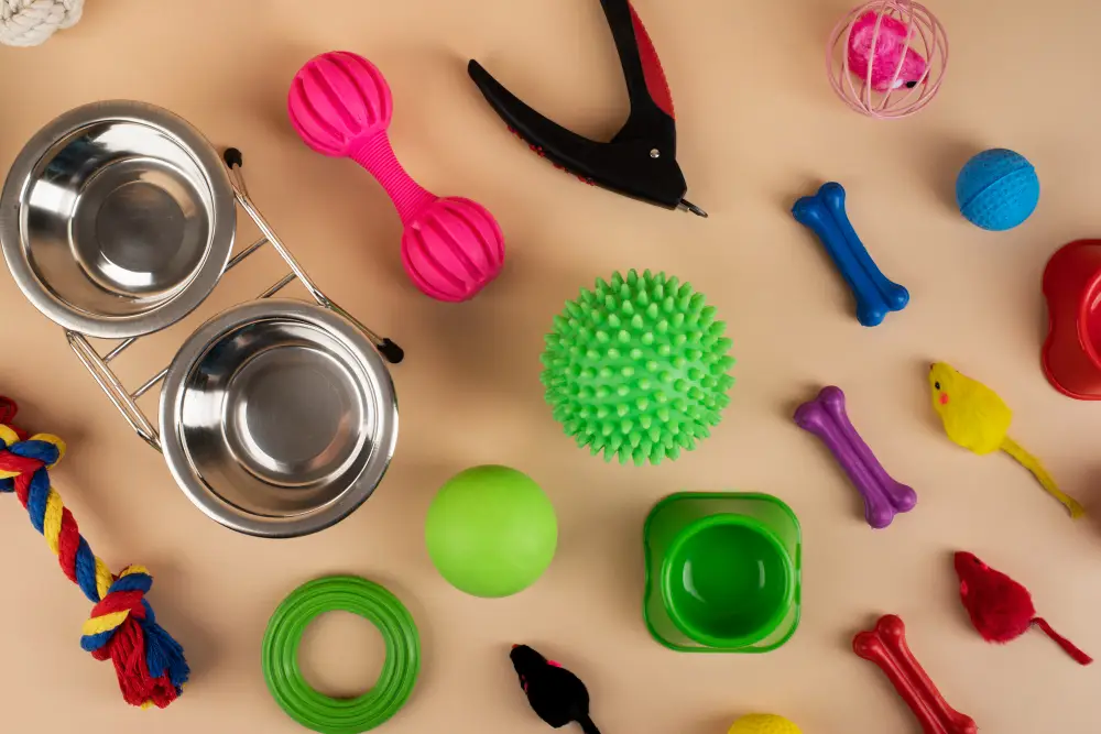 Les 15 accessoires indispensables pour chien à avoir chez soi
