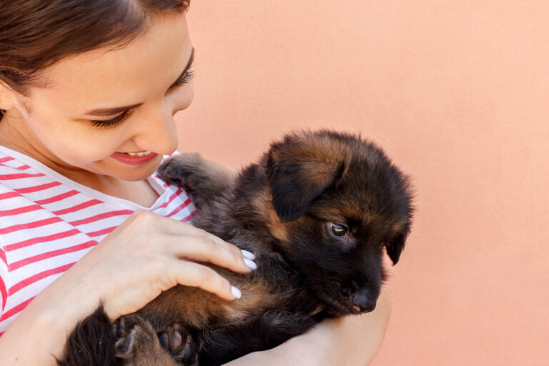 Comment adopter un chiot : le guide complet pour un accueil réussi